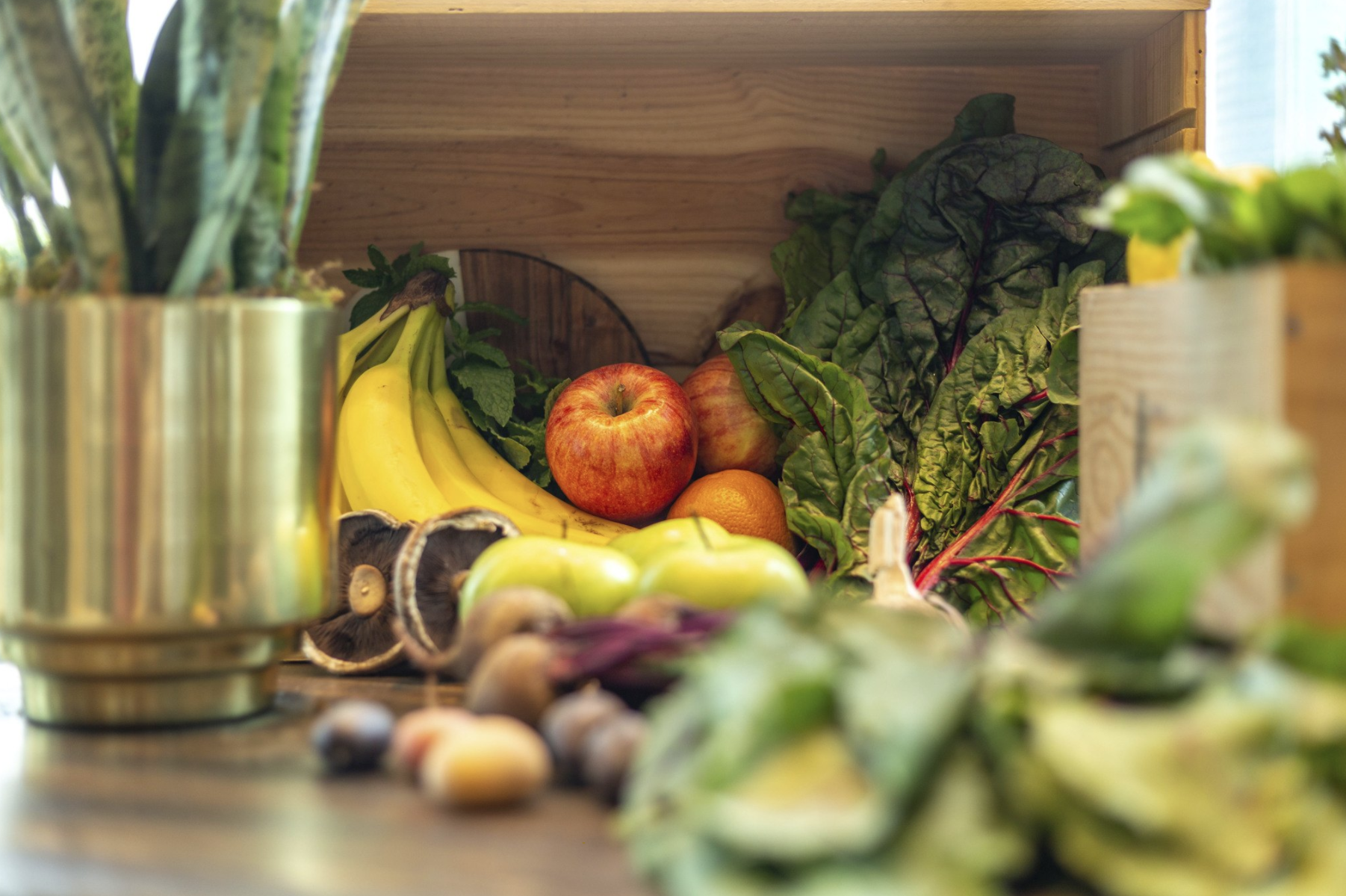 Empire Homes Launches the Adulting Series for New Homebuyers and Millennials | Empire Homes